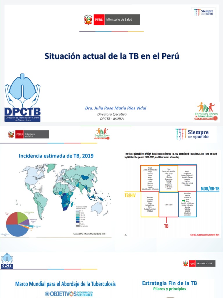 Situación Actual de La TB en El Perú: Dra. Julia Rosa María Ríos Vidal ...