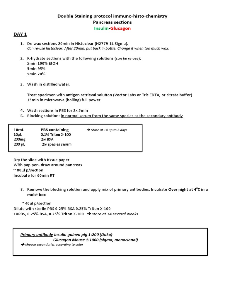 Double Staining Staining IHC Insulin+glucagon | PDF