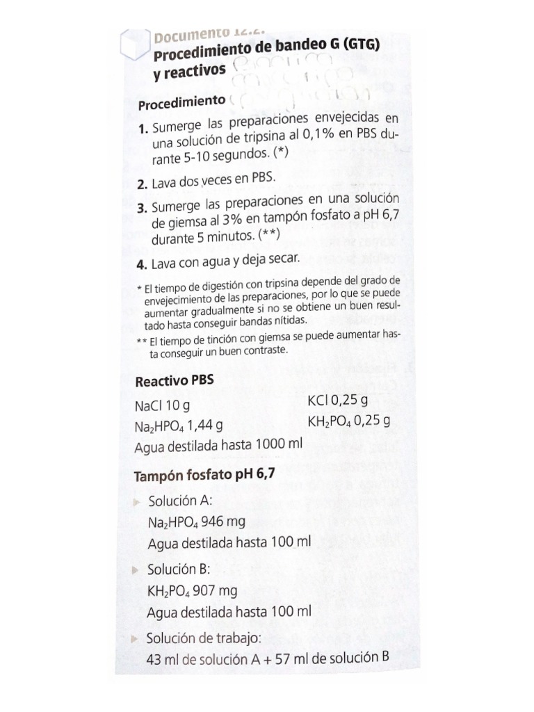 Procedimiento de bandeo G (GTG) | PDF