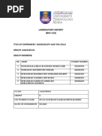 Lab Report Mic102 | PDF | Microscope | Optics