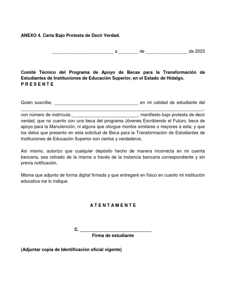 ANEXO 4 Carta Bajo Protesta Decir Verdad | PDF