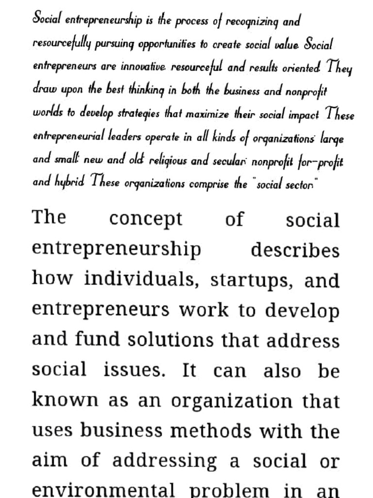 Unit 3 Bba | PDF | Entrepreneurship | Social Entrepreneurship