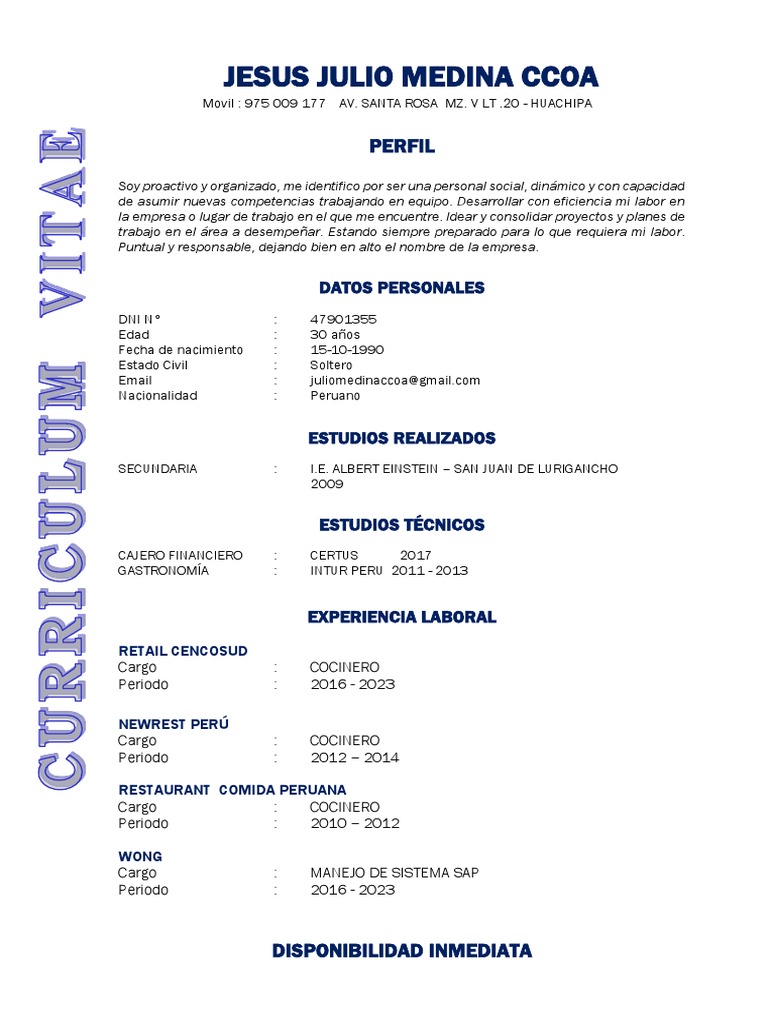 CV - Jesus Julio Medina Ccoa | PDF