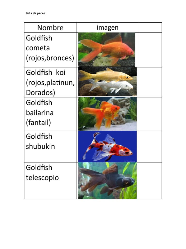 Tipos de Peces de Acuario y Nombres | PDF