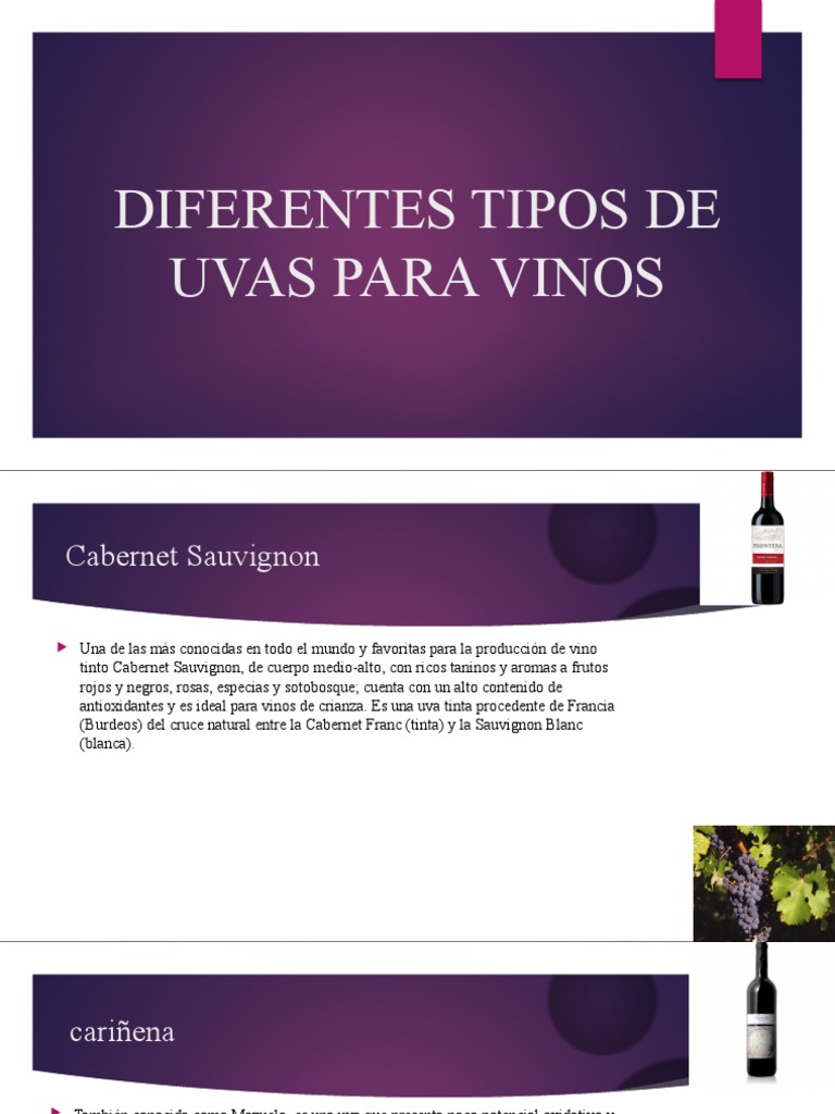 Diferentes Tipos De Uvas Para Vinos Pdf Vino Uva