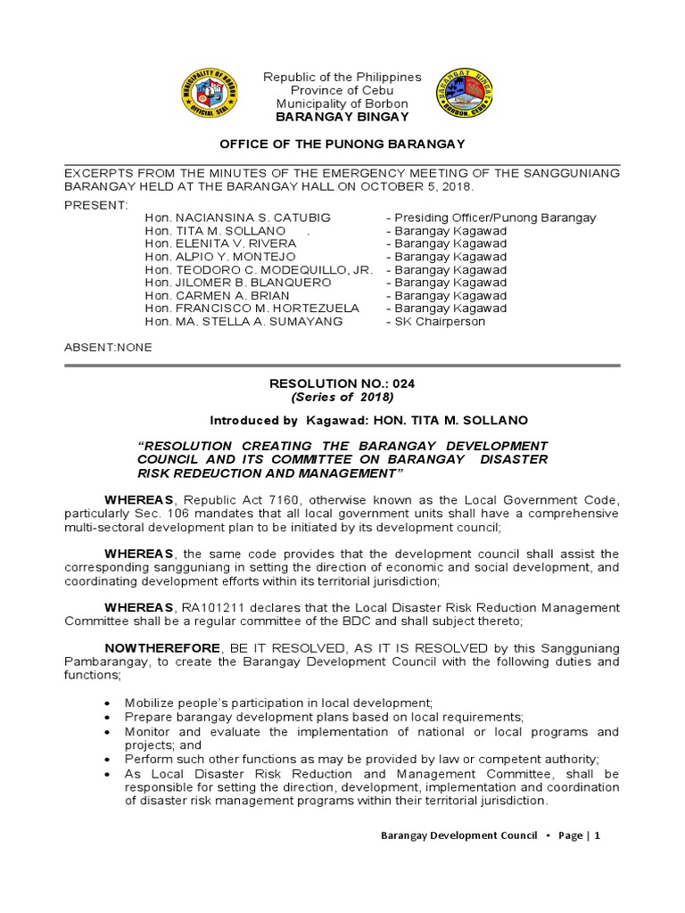 024 2018 BDC - BDRRMC | PDF