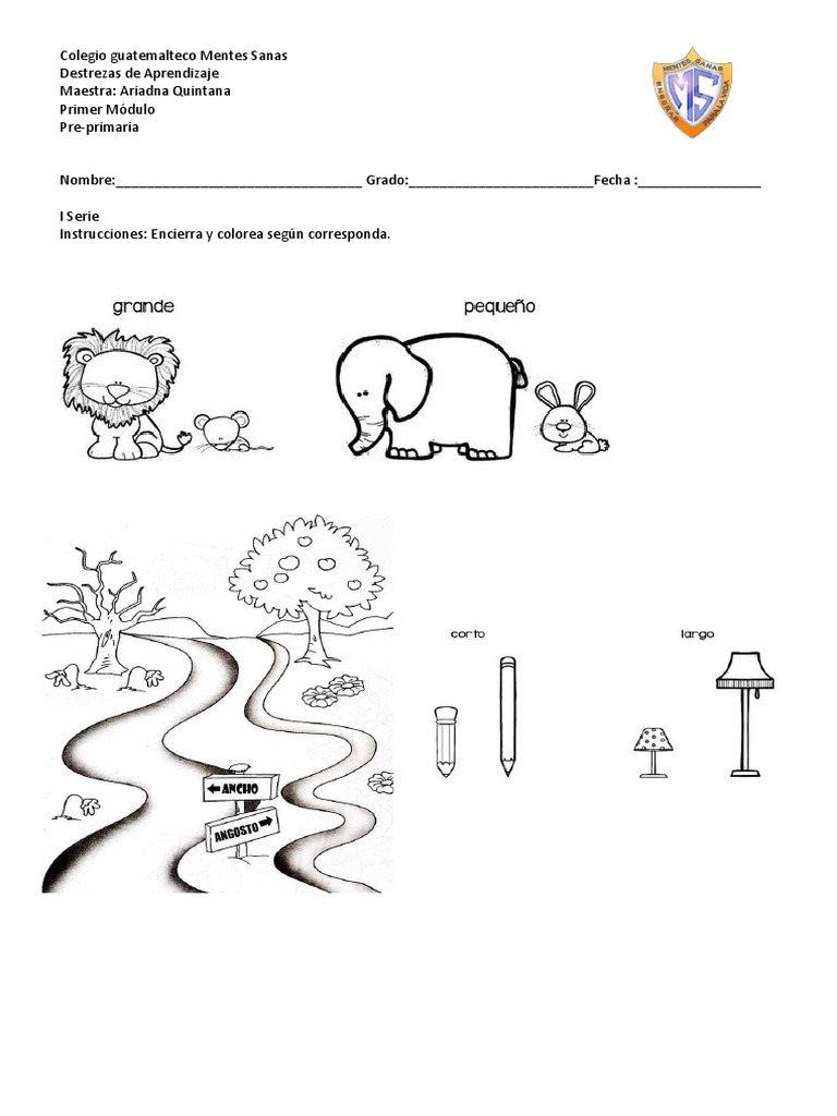 Evaluación Destrezas de Aprendizaje, Preprimaria | PDF