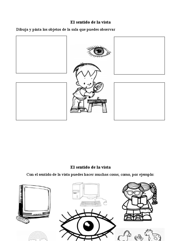 El sentido de la vista_Fichas | PDF