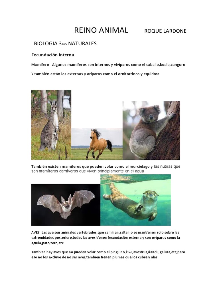 Reino Animal Roque Lardone | PDF | Moluscos | Crustáceo