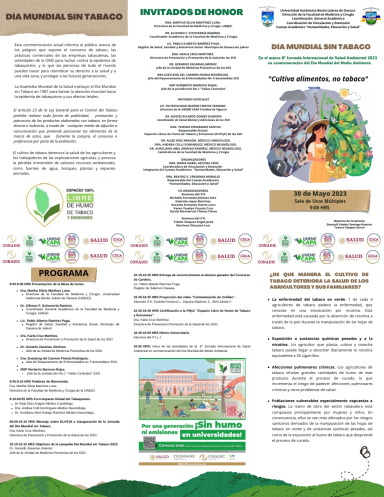 Triptico Jornada Mundial Sin Tabaco | PDF | Tabaco | Nicotina