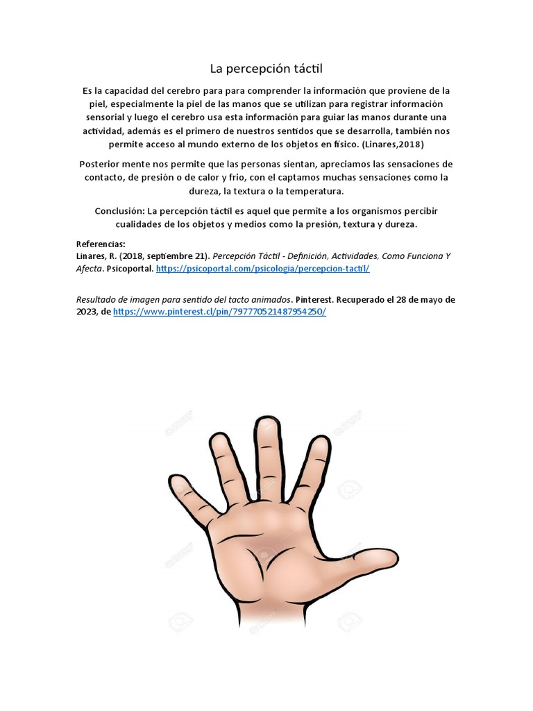 La percepción táctil | PDF