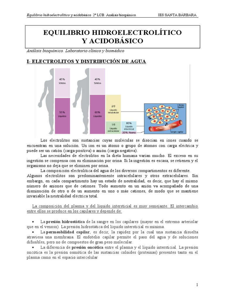 Equilibrio Hidroelectrolítico y Acidobasico | PDF | Solución tampón | Angiotensina