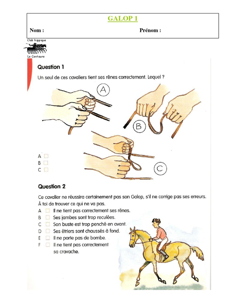 Questionnaire Théorie Galop 1-1 | PDF