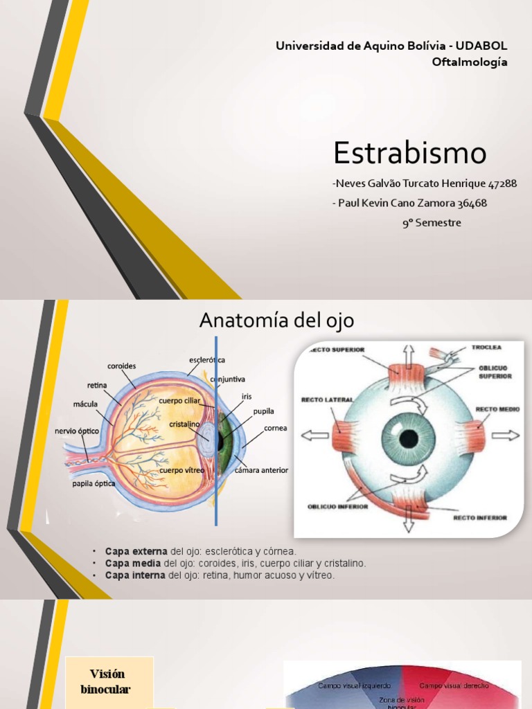 Estrabismo | Descargar gratis PDF | Ojo humano | Especialidades Medicas
