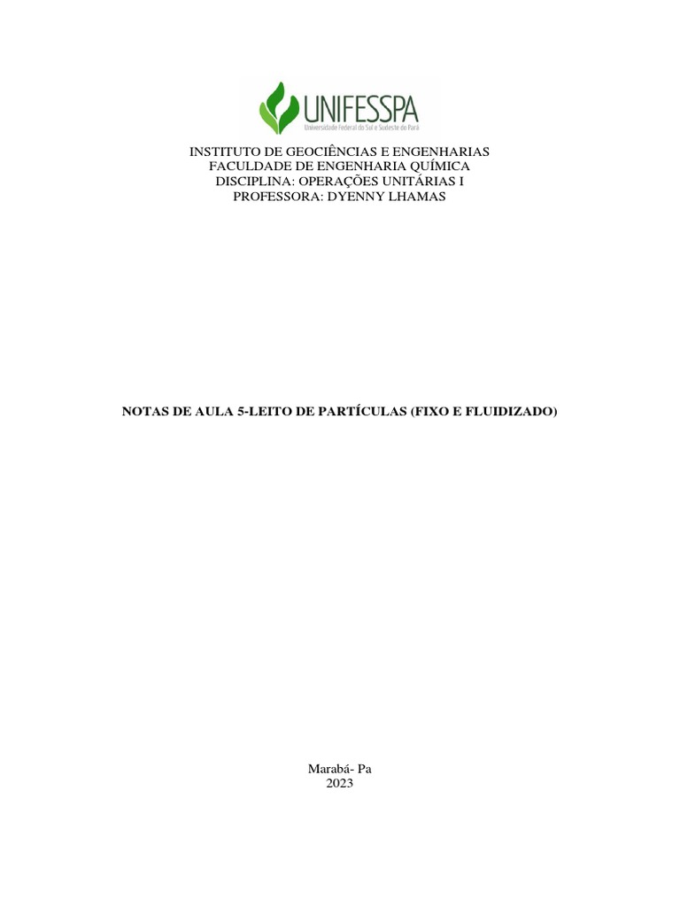 Notas de Aula Leito Fixo e Fluidizado | PDF | Mecânica dos fluidos | Calor
