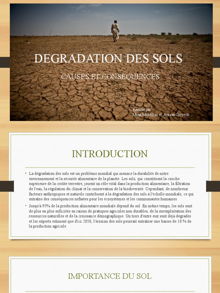 Degradation Des Sols, Causes Et Consequences | PDF | Sol (pédologie ...
