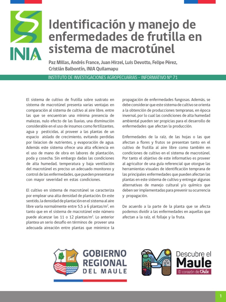 Manejo de enfermedades en frutilla | PDF | fresa | Hongo