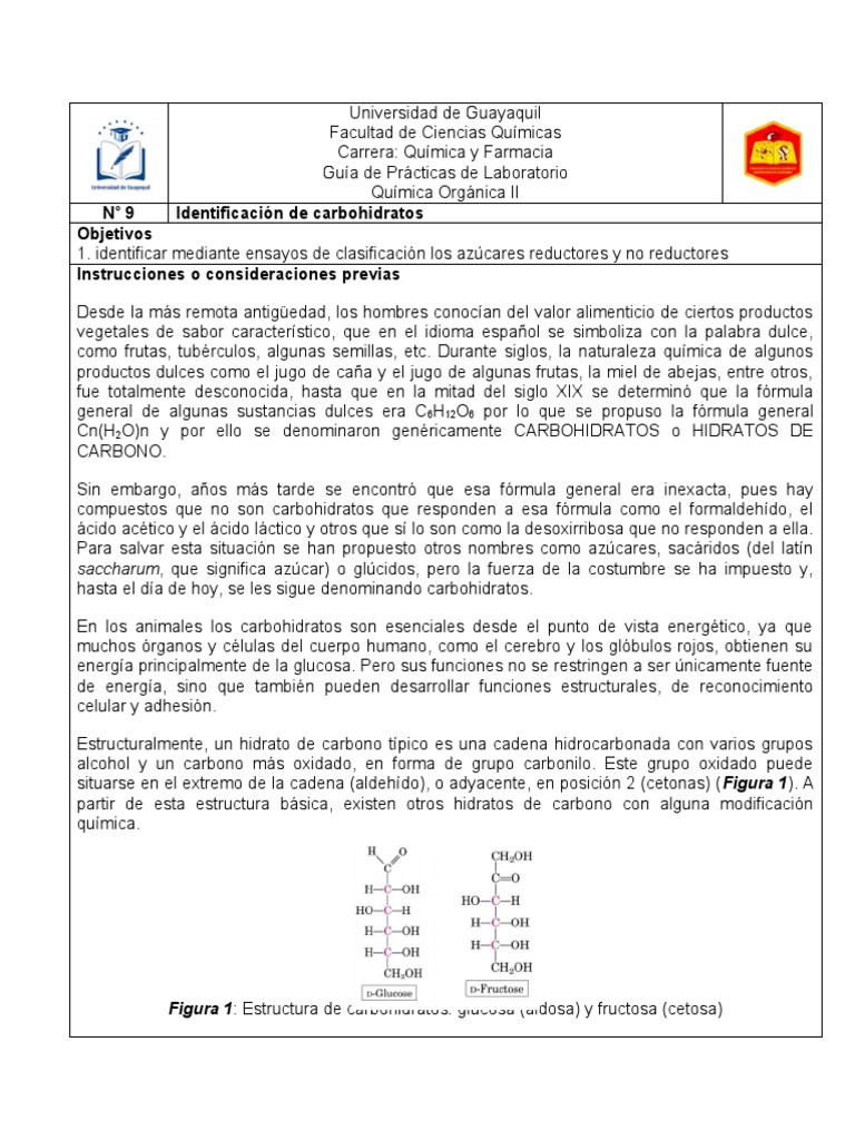 Práctica 9 Qoii | PDF