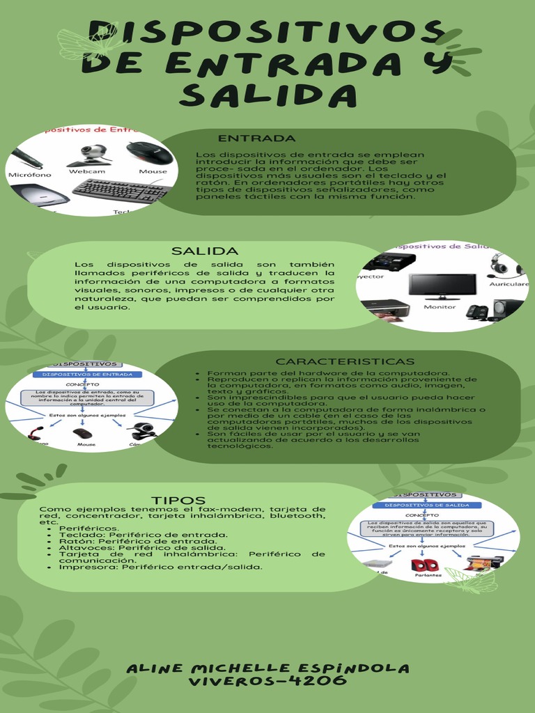Infografía de Dispositivos de Entrada y Salida | PDF