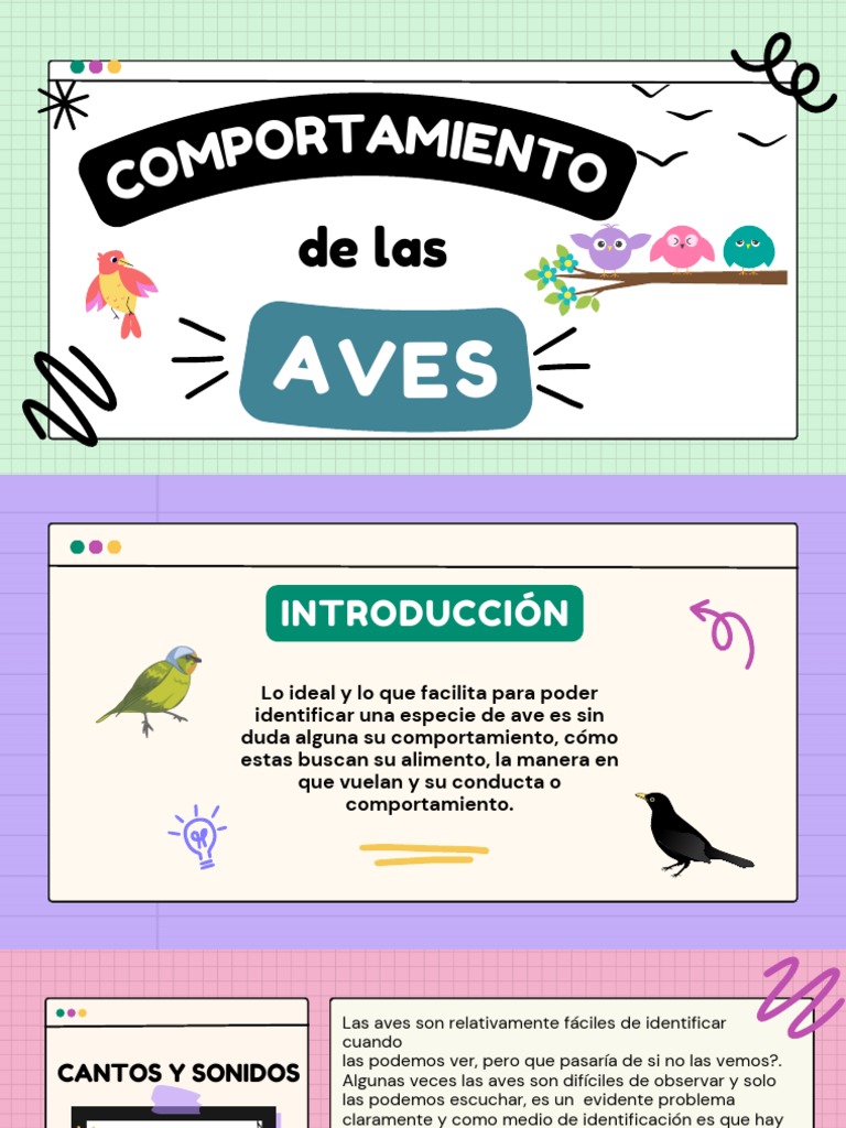 Comportamiento y Sonidos de Aves | PDF | Aves | Aves holarctic