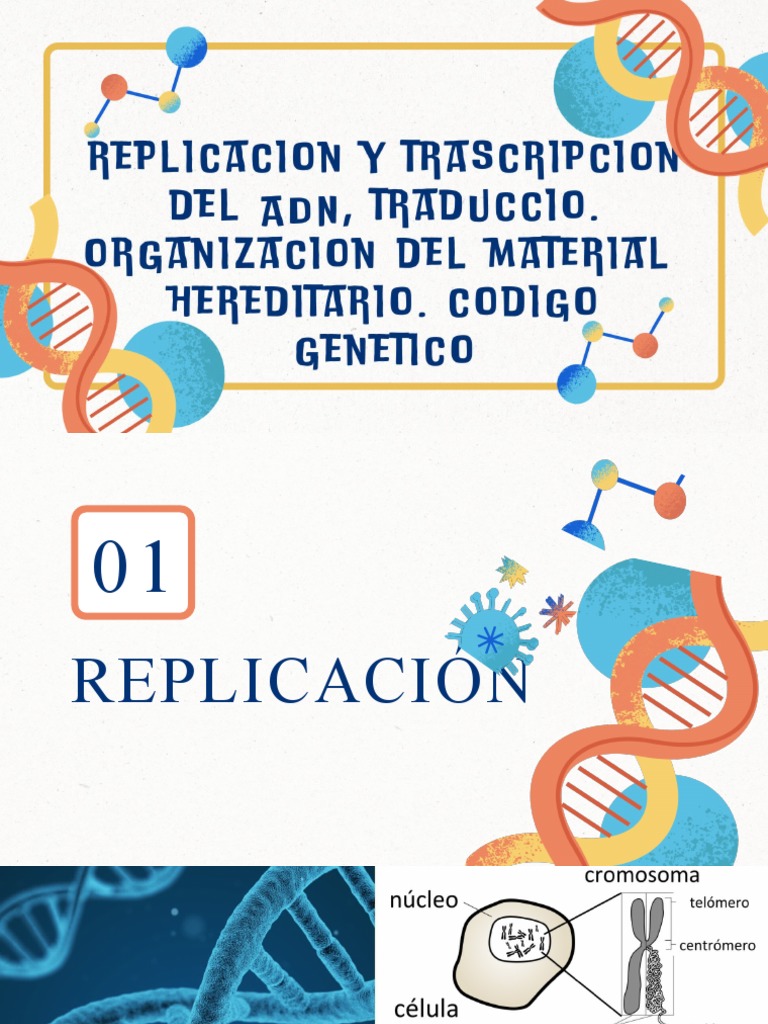 Biologia Celular - PPTX Replicacion Del Adn | PDF | Informática