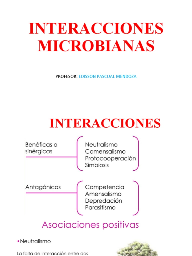 Interacciones Microbianas | PDF
