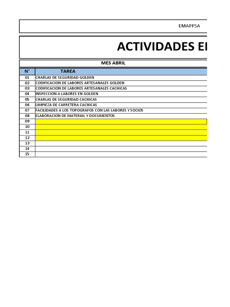 Formato Informe Ssoma | PDF
