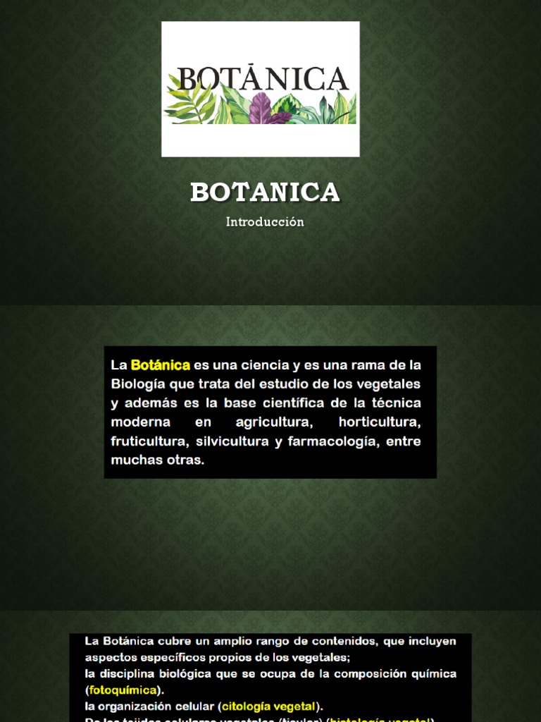 Introducción a la Botánica Criptogámica | PDF