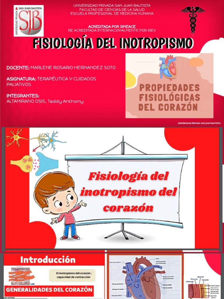 Diapos Fisiología Del Inotropismo Cardiaco | PDF