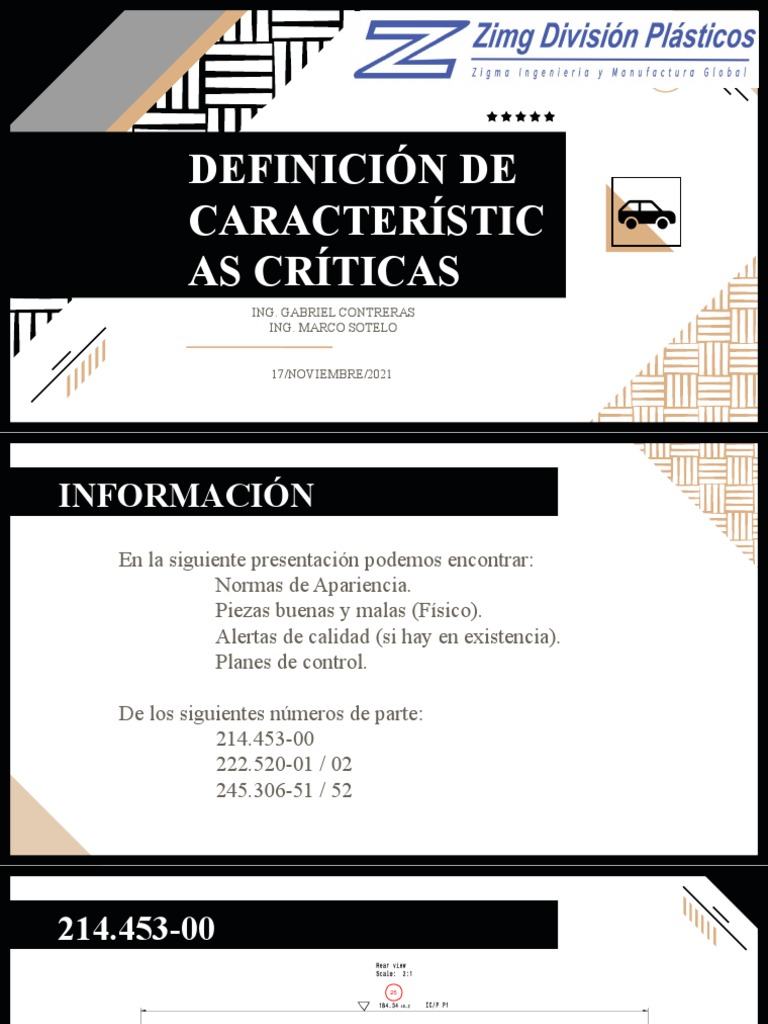 DEFINICIÓN DE CARACTERISTICAS CRÍTICAS | PDF