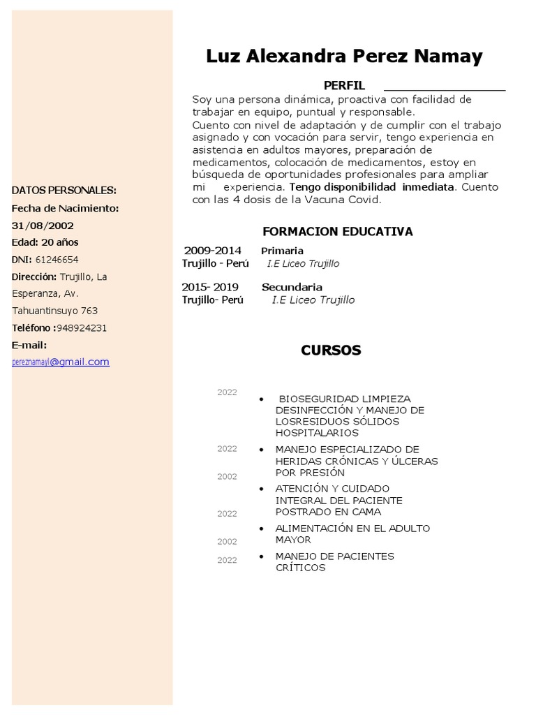 CV Luz | PDF