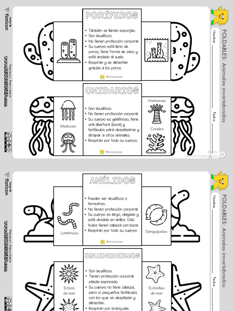 animales-invertebrados-material-plegable-recursosep - byn | PDF