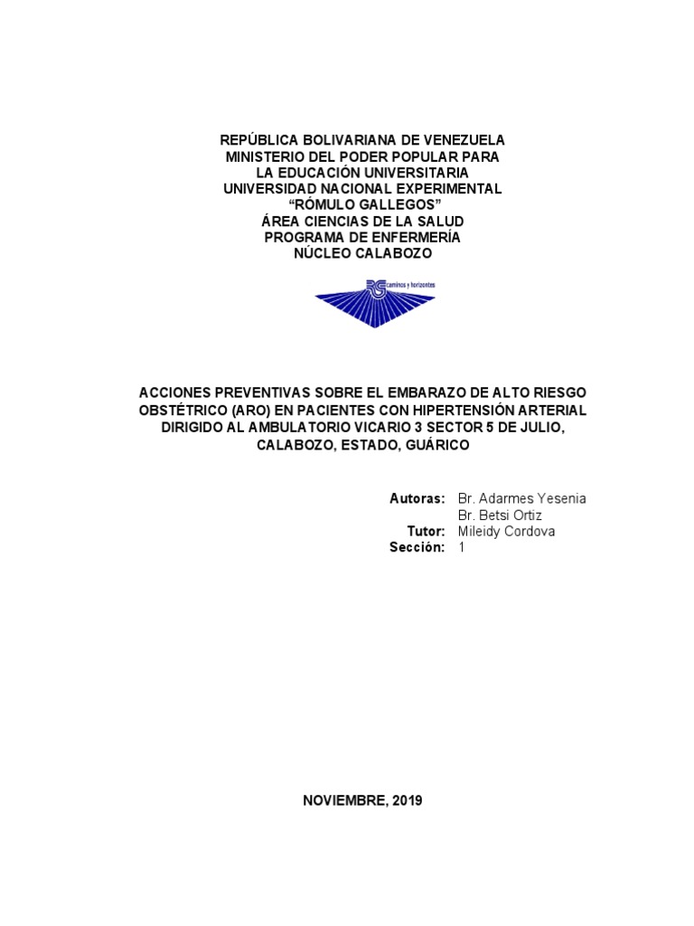 Acciones Preventivas Sobre El Embarazo de Alto Riesgo Obstétrico (Aro ... Acciones Preventivas Sobre El Embarazo de Alto Riesgo Obstétrico (Aro ...