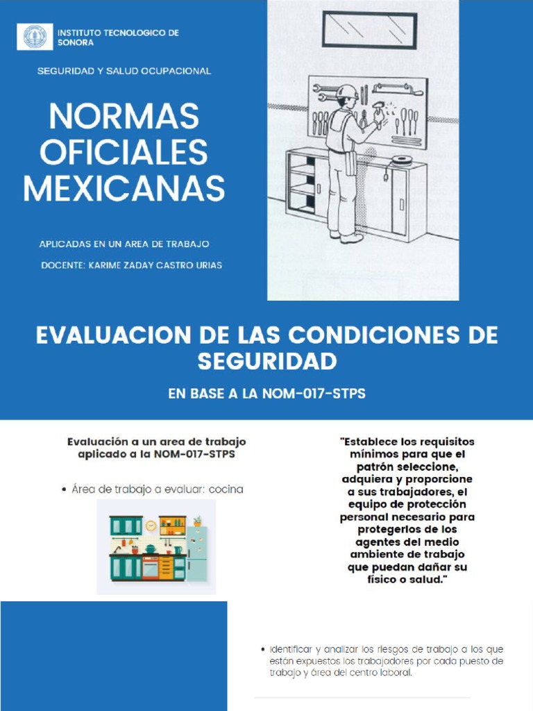 Presentación NOM-017 | PDF