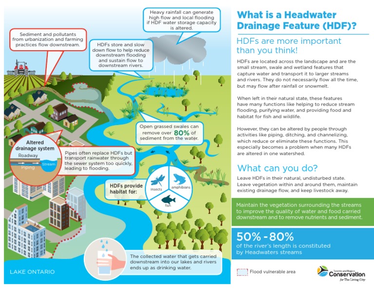 What Is A Headwater Drainage Feature (HDF) ?: Hdfs Are More Important ...