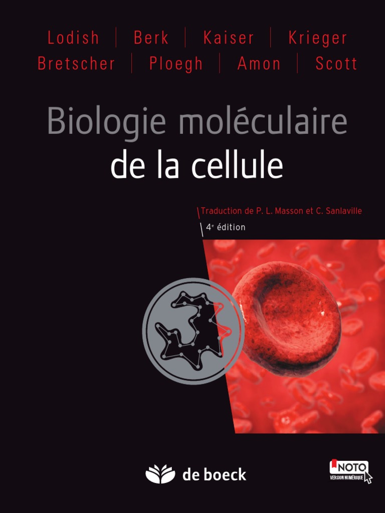 Cours Biomol | PDF