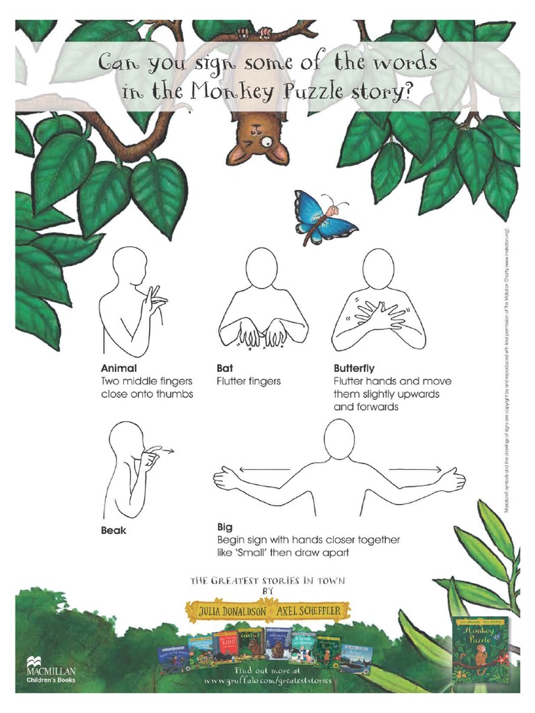 monkey-puzzle-activity-sheet (2) | PDF