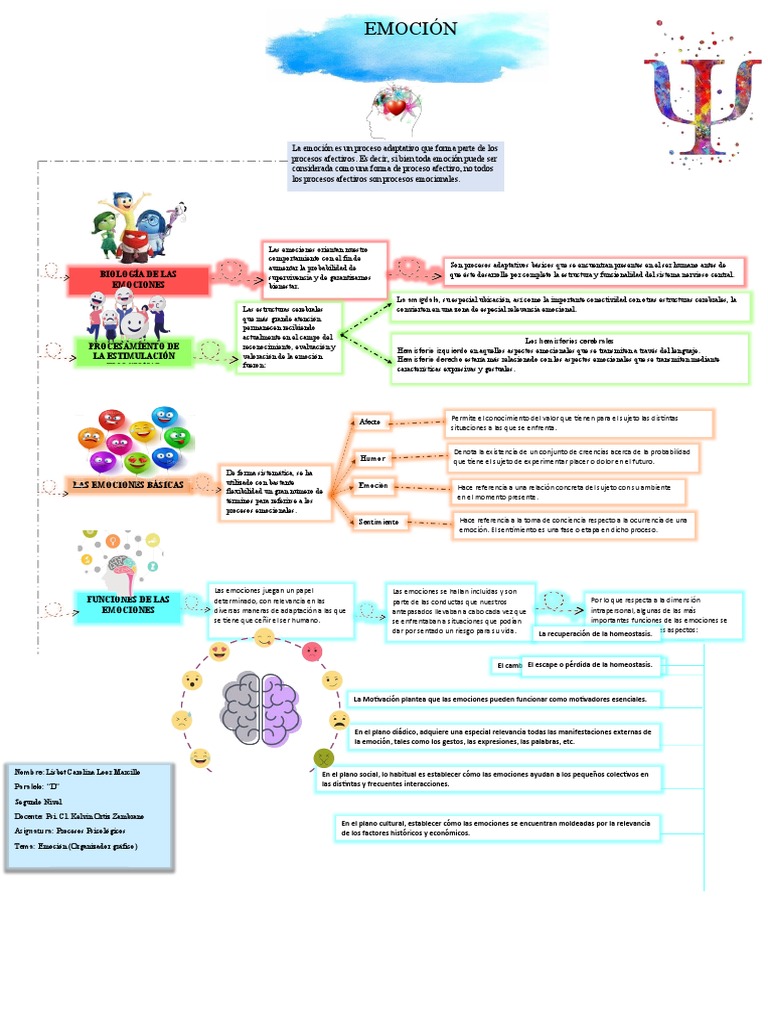 Organizador Grafico Emocion | PDF | Las emociones | Cerebro
