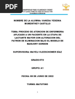 Folleto Lavado de Manos Vanesa | PDF | Lavado de manos | Medicina CLINICA