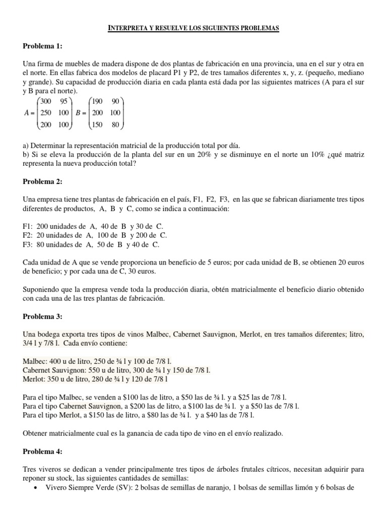 Problemas de Matrices | PDF | Matriz (Matemáticas)