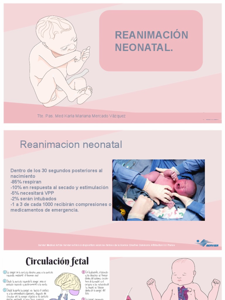 Reanimacion Neonatal | PDF | Reanimación cardiopulmonar | Parto