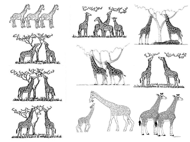 Jirafas de Dawin y Lamarck 2 | PDF