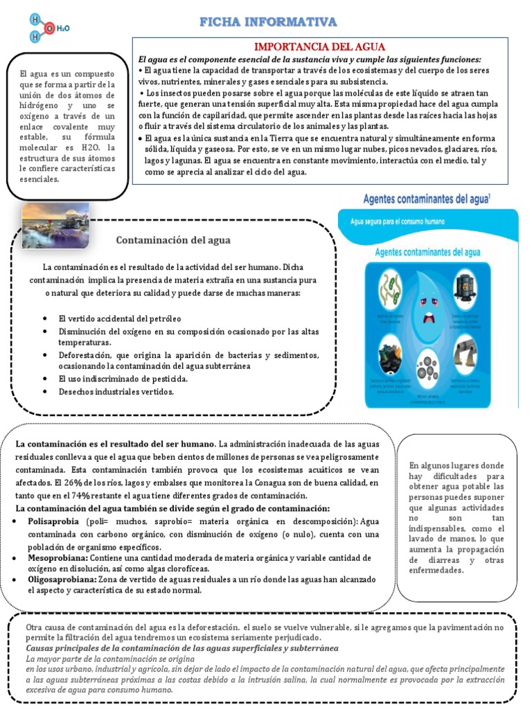 CTA5 - Ficha Informativa 02 11 22 | PDF | Agua | La contaminación del agua