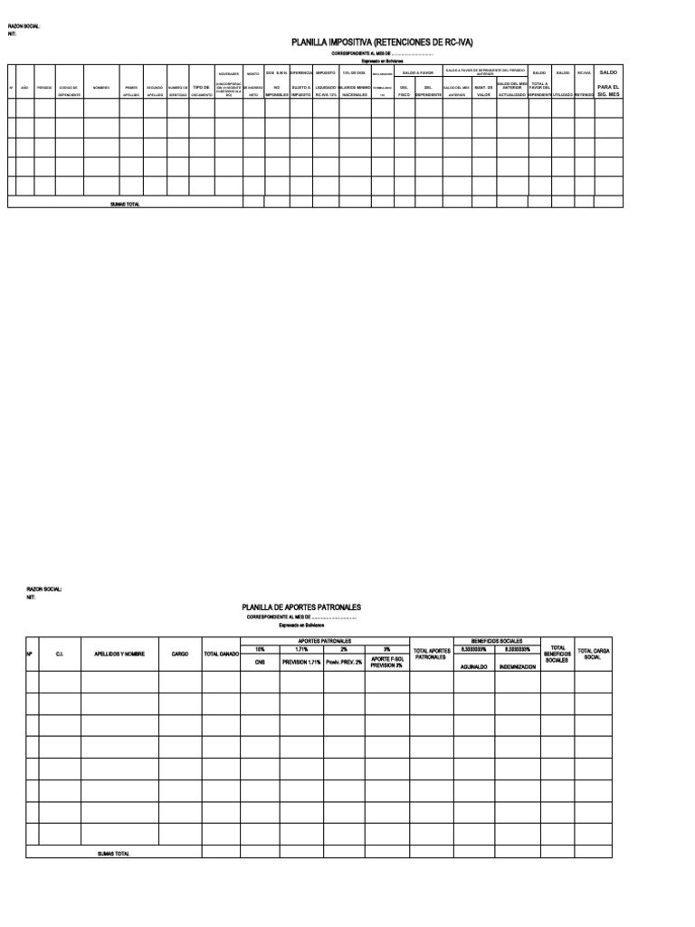 Formato de Planillas DE 3 PLANILLAS | PDF | Economias