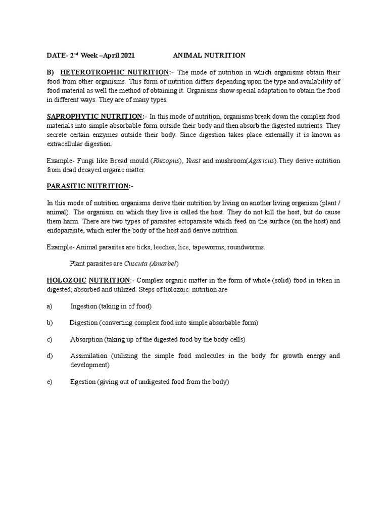 Animal Nutrition Notes | Download Free PDF | Small Intestine | Pancreas