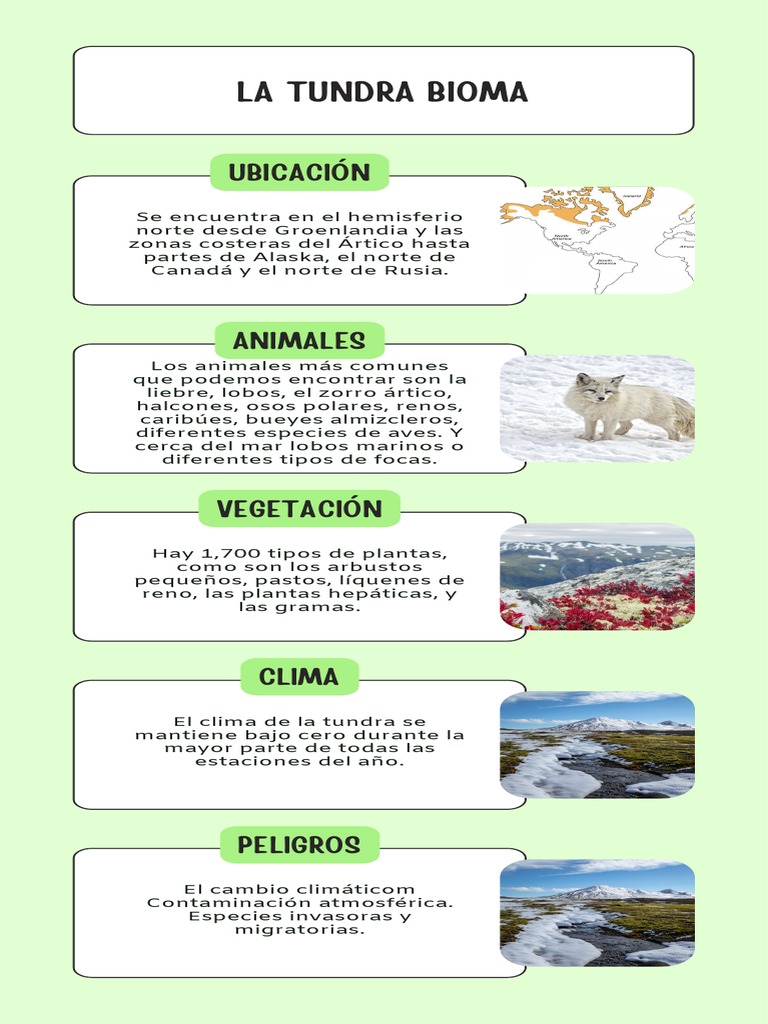 Bioma La Tundra | PDF