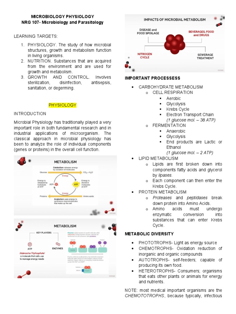 Microbial Physiology Overview | PDF | Growth Medium | Metabolism