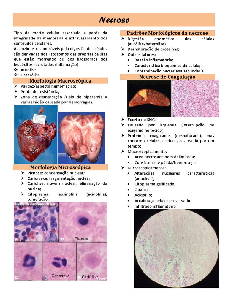 Necrose | PDF | Necrose | Remédio