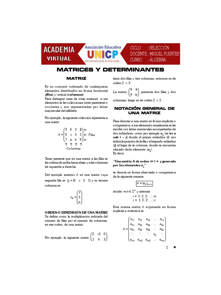 Matrices y Determinantes Teoria | PDF | Matriz (Matemáticas ...
