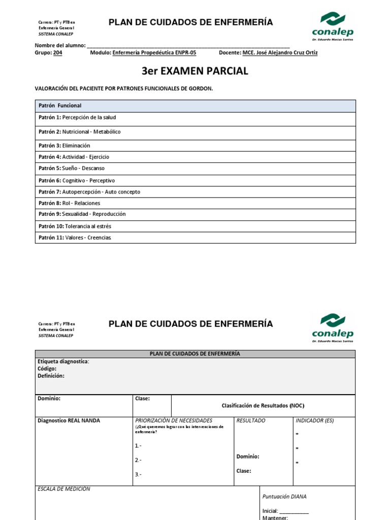Formato Place | PDF
